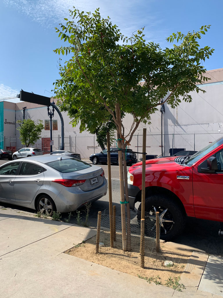 Grow Urban- A Tree Planting Movement - Urban Interventions